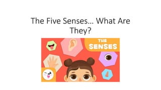 Sense of sight | PPTX