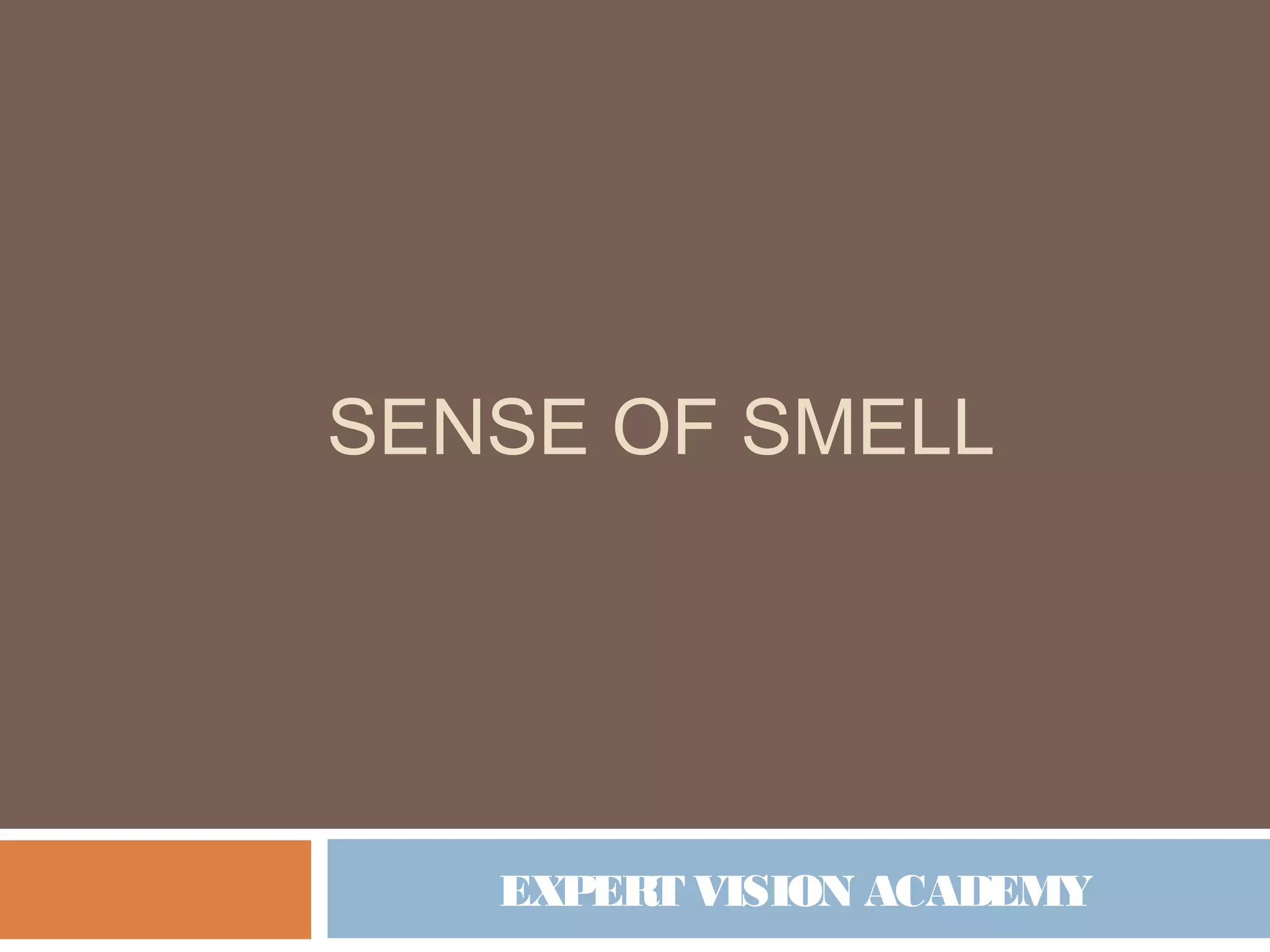 Sense of smell | PPT