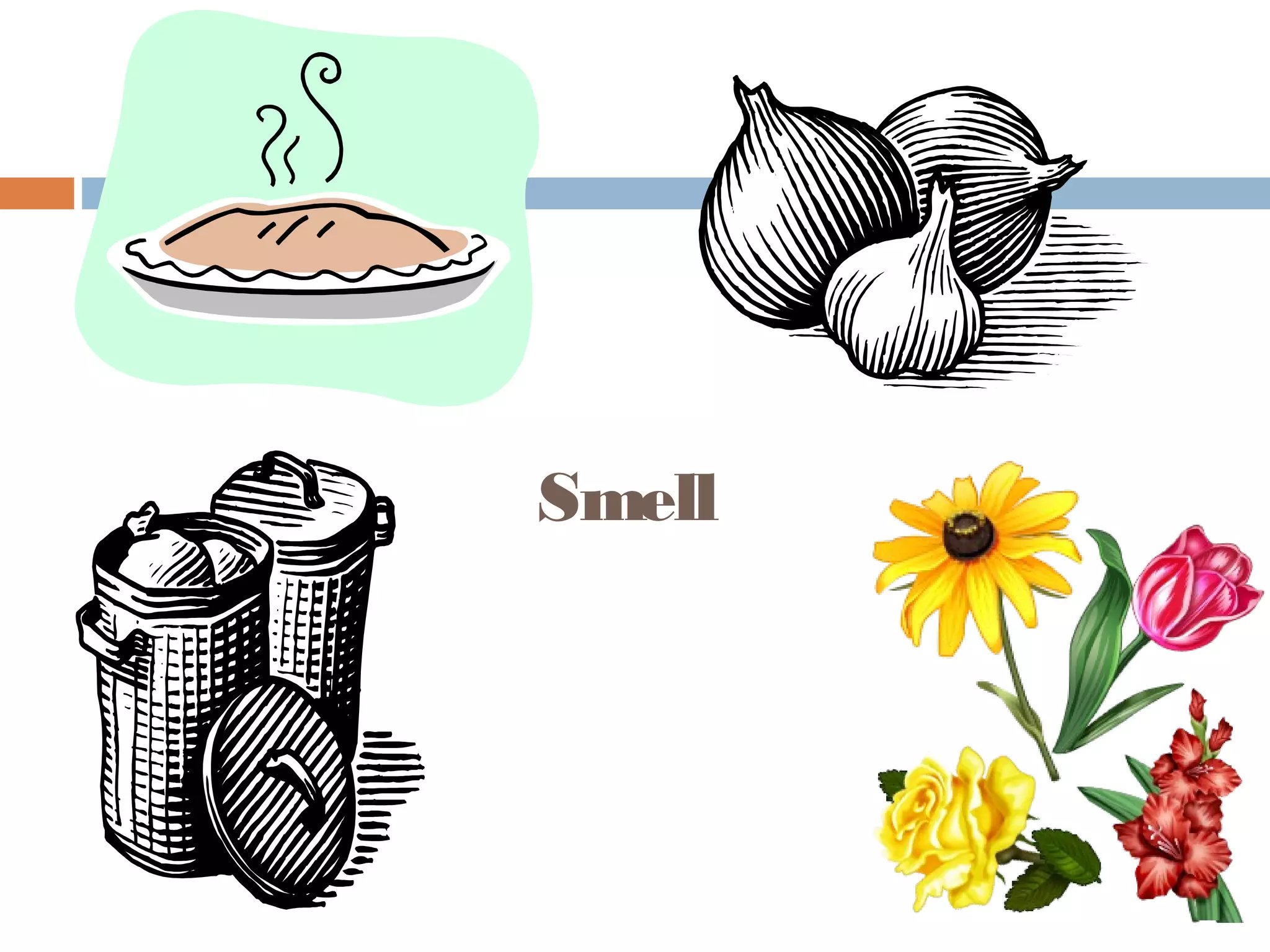 Sense of smell | PPT