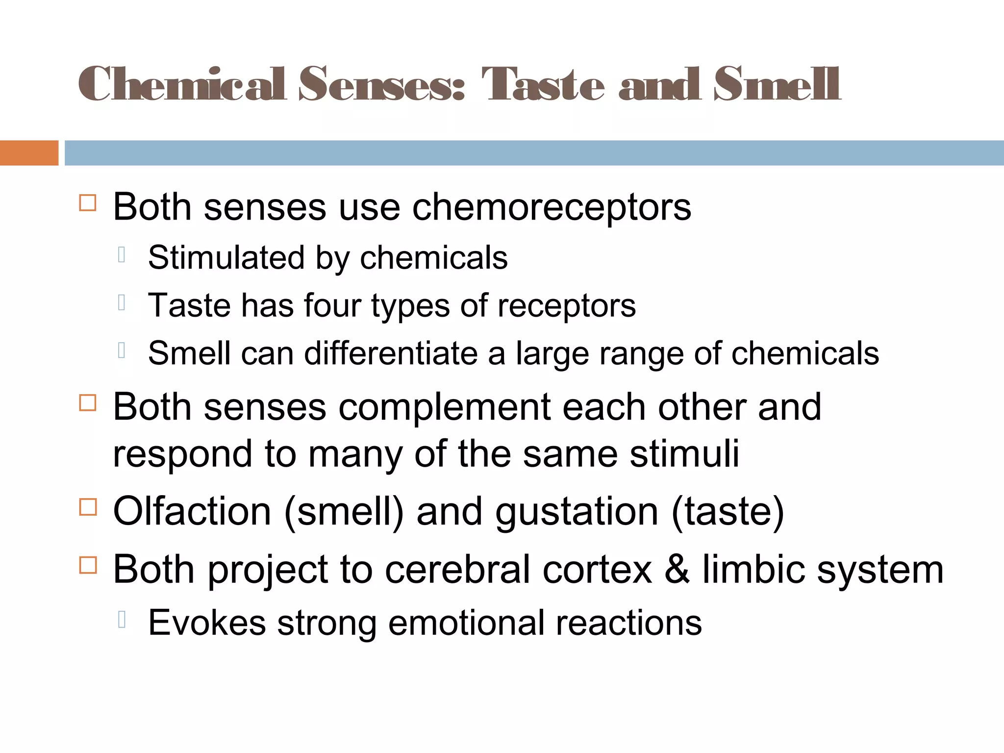 Sense of smell | PPT