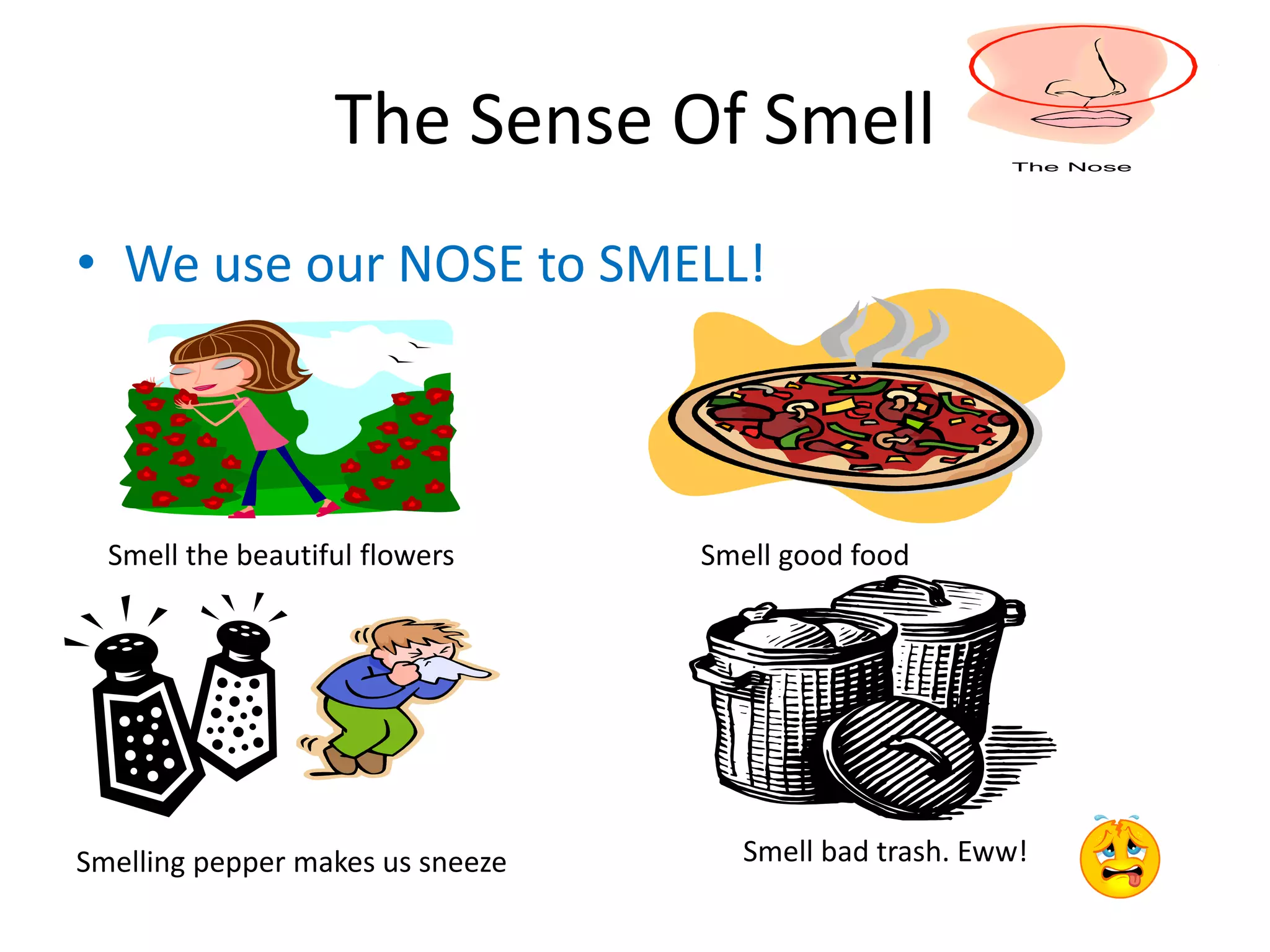 Sense of smell | PPT