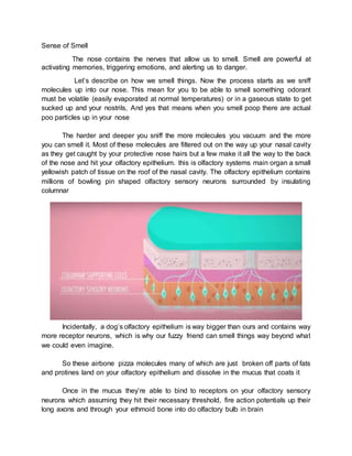 Sense of Smell.docx