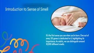 Sense of Smell How it WOrks and why the process | PPT