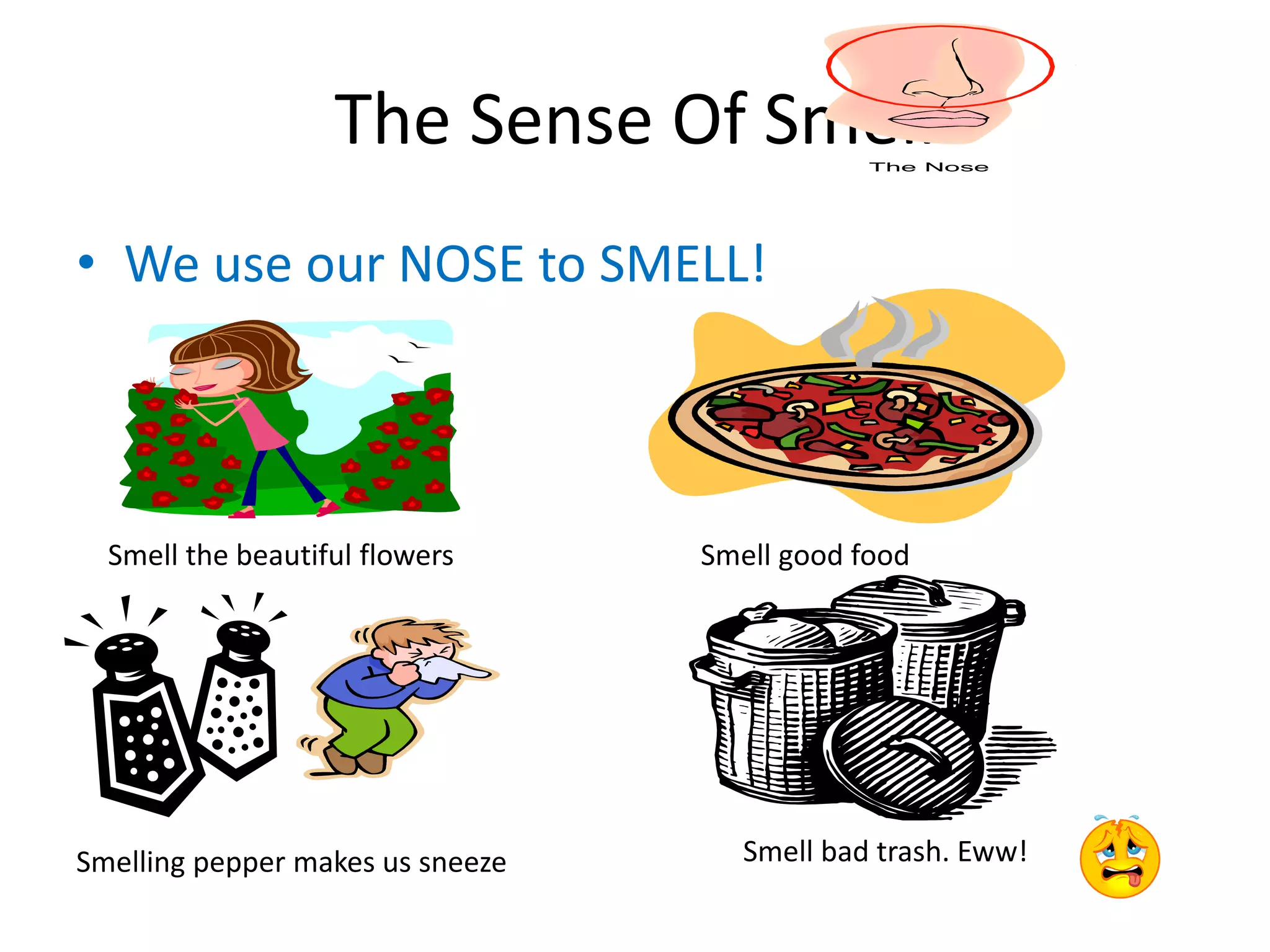 Sense of smell and taste | PPTX