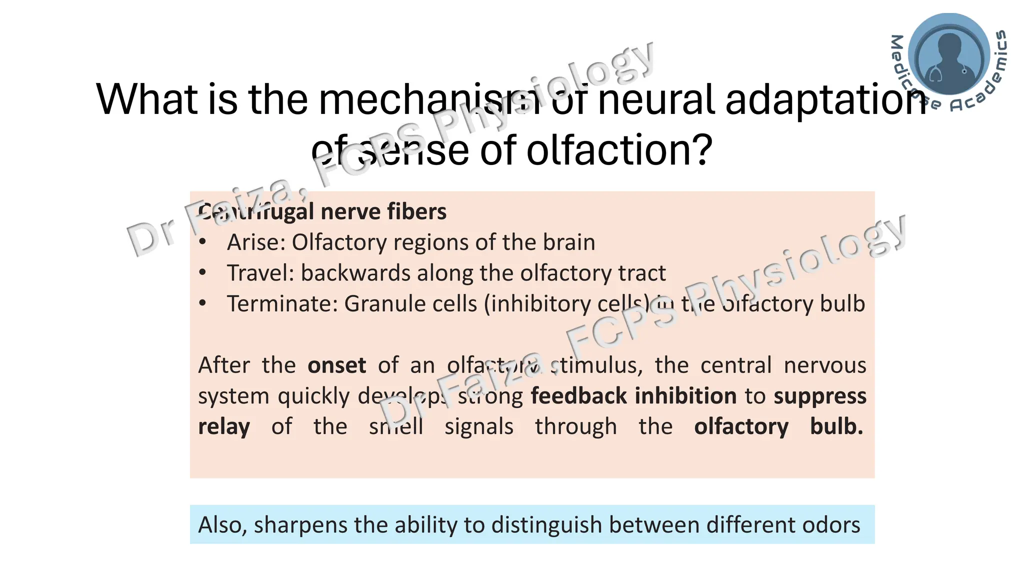 Physiology of Chemical Sensation of smell.pdf