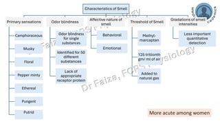 Physiology of Chemical Sensation of smell.pdf