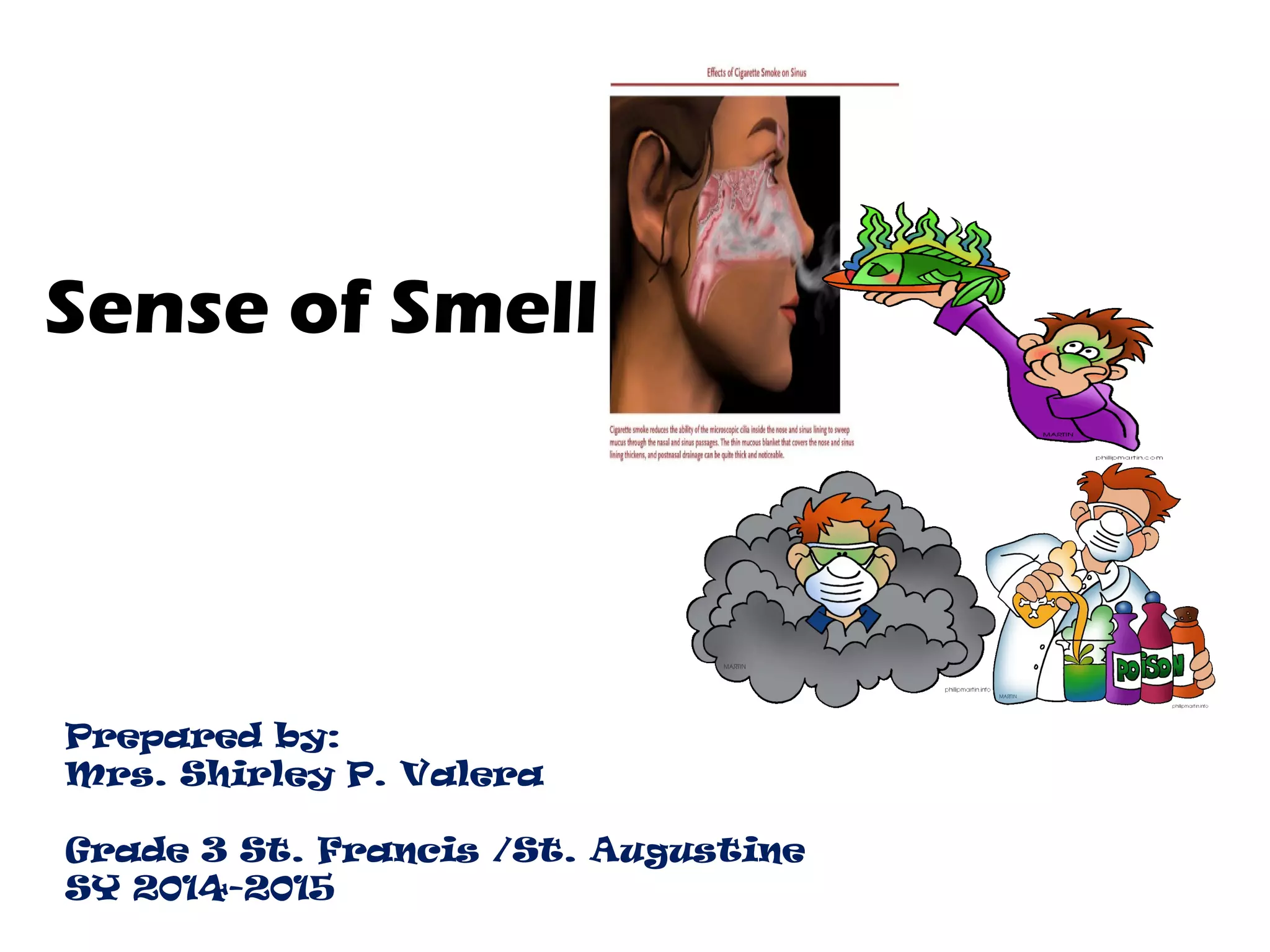Sense of smell(nose.ppt grade 3) | PPT