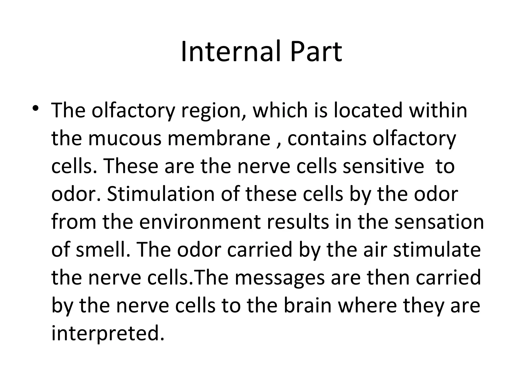 Sense of smell(nose.ppt grade 3) | PPT