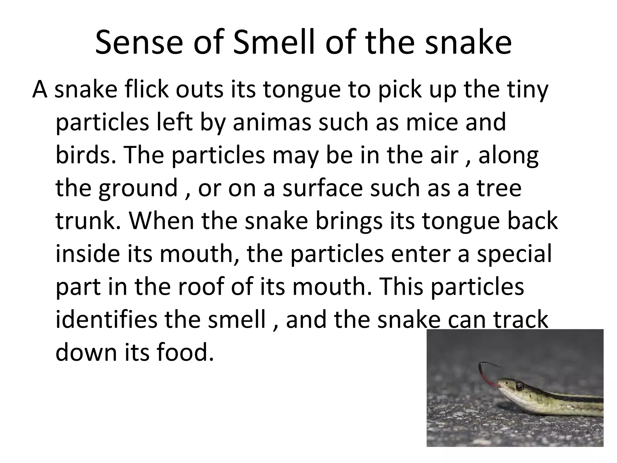 Sense of smell(nose.ppt grade 3) | PPT
