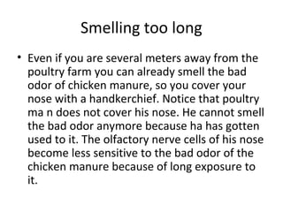 Sense of smell(nose.ppt grade 3) | PPT