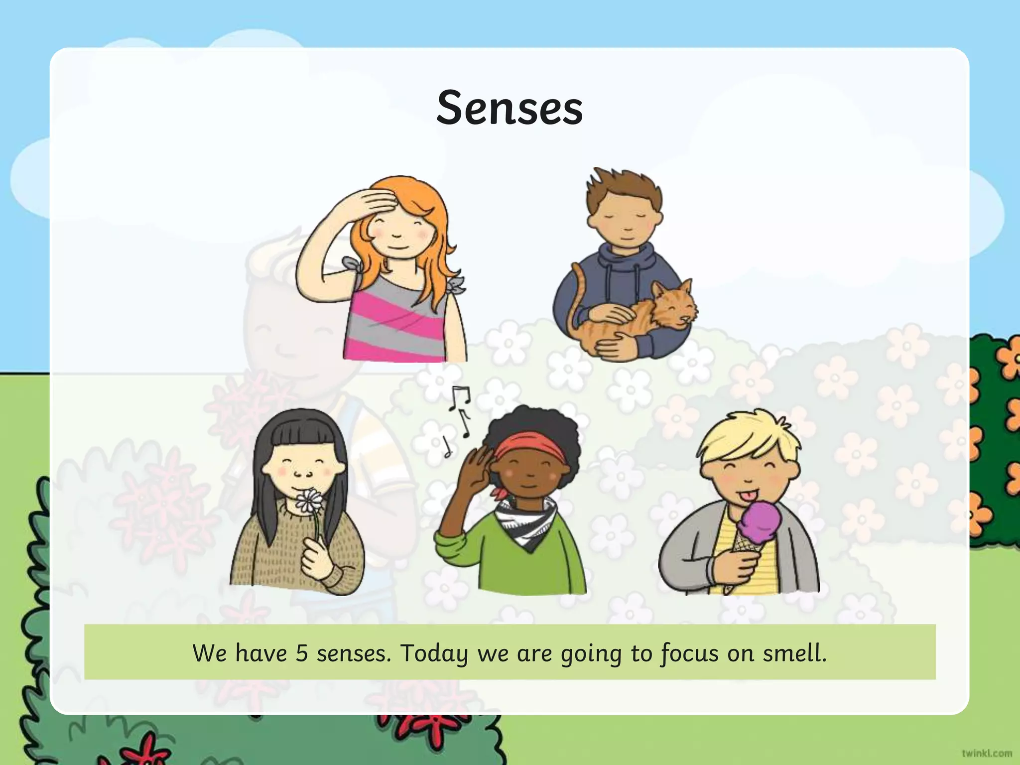 Sense of Smell PowerPoint_1.ppt