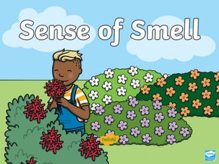 Sense of Smell PowerPoint_1.ppt