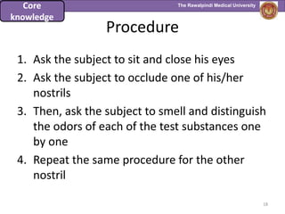 sense of smell practical.pptcdsc sfdsff fsx | PPTX