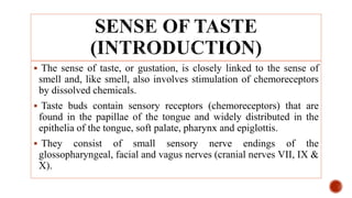 Sense of smell & taste | PPTX