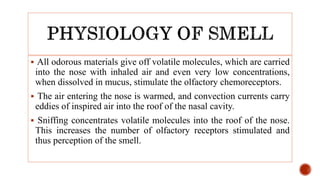Sense of smell & taste | PPTX