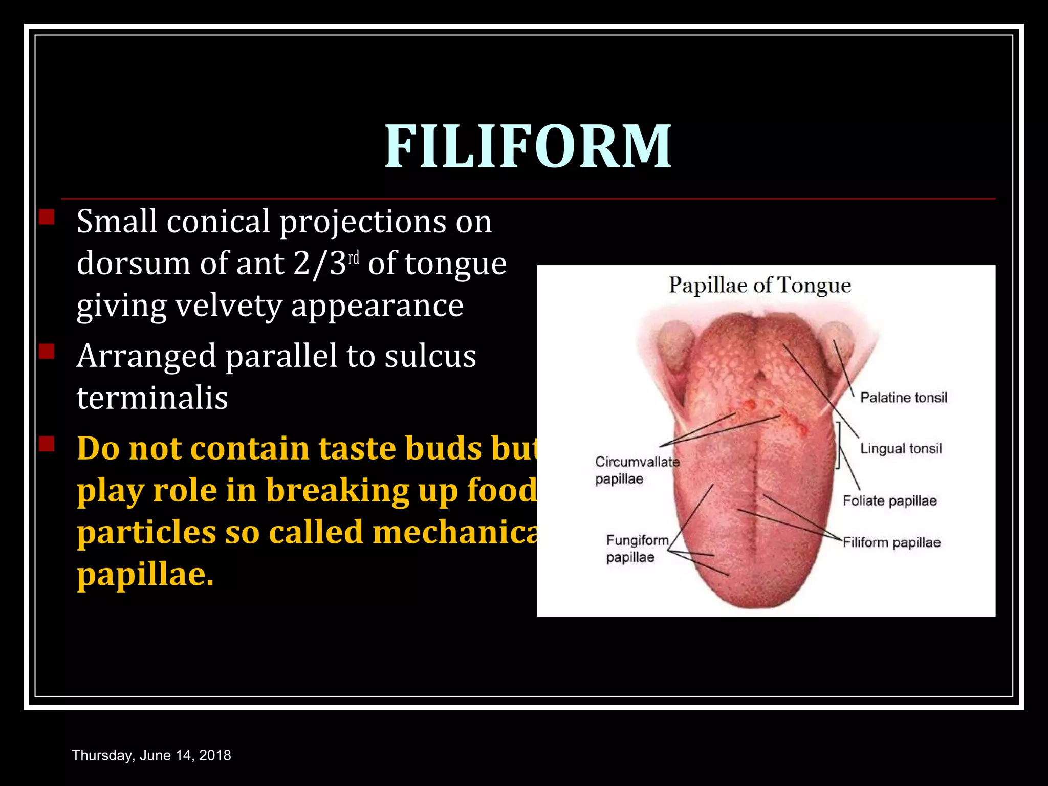 SENSE OF TASTE | PPT