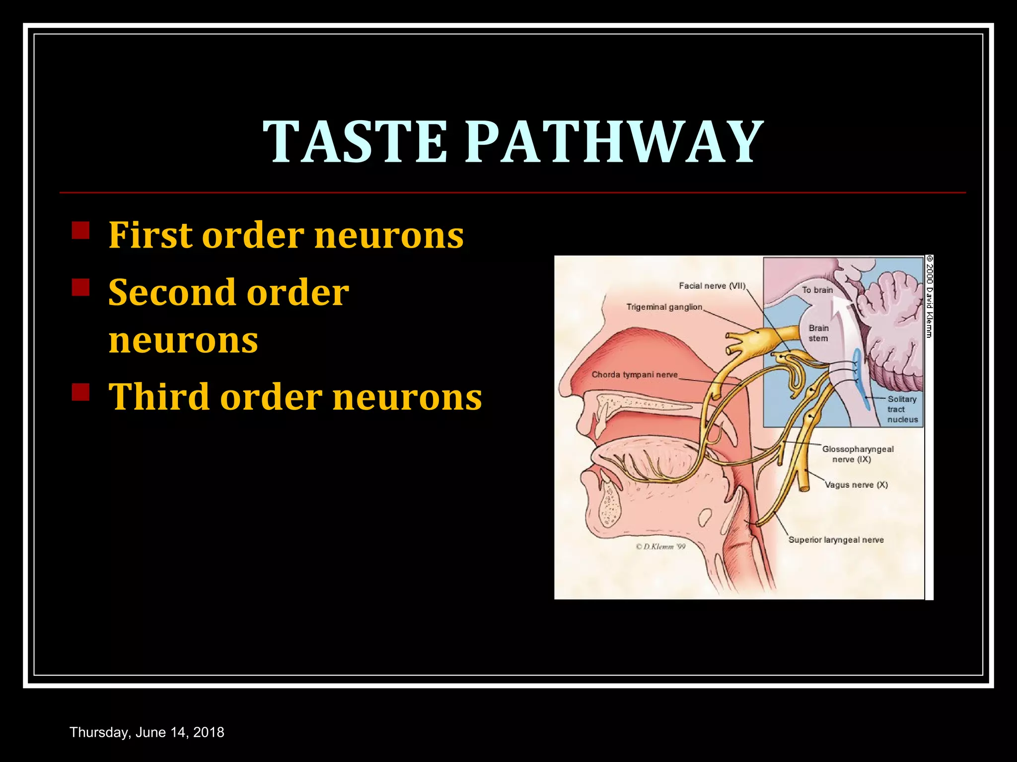 SENSE OF TASTE | PPT
