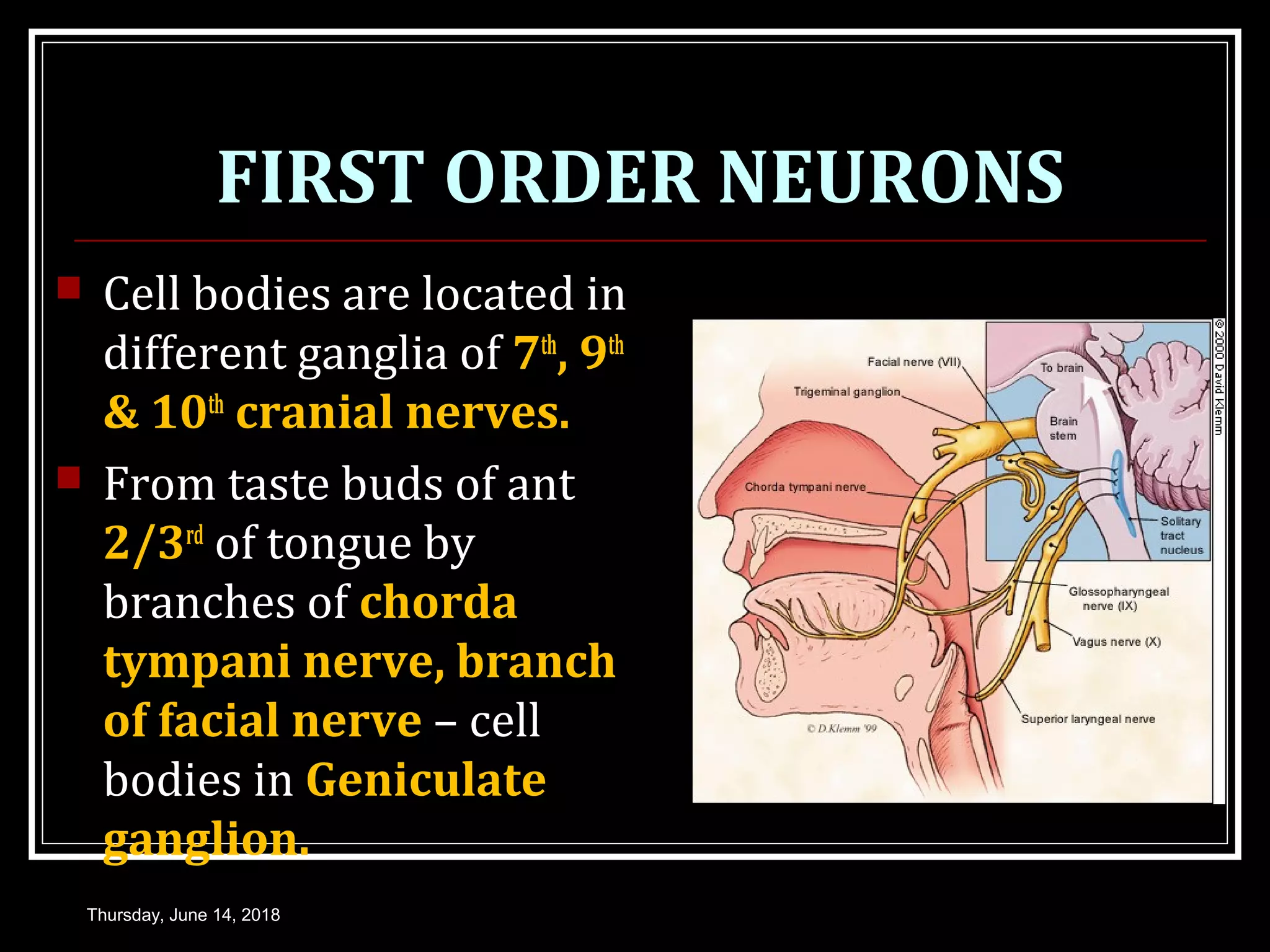 SENSE OF TASTE | PPT