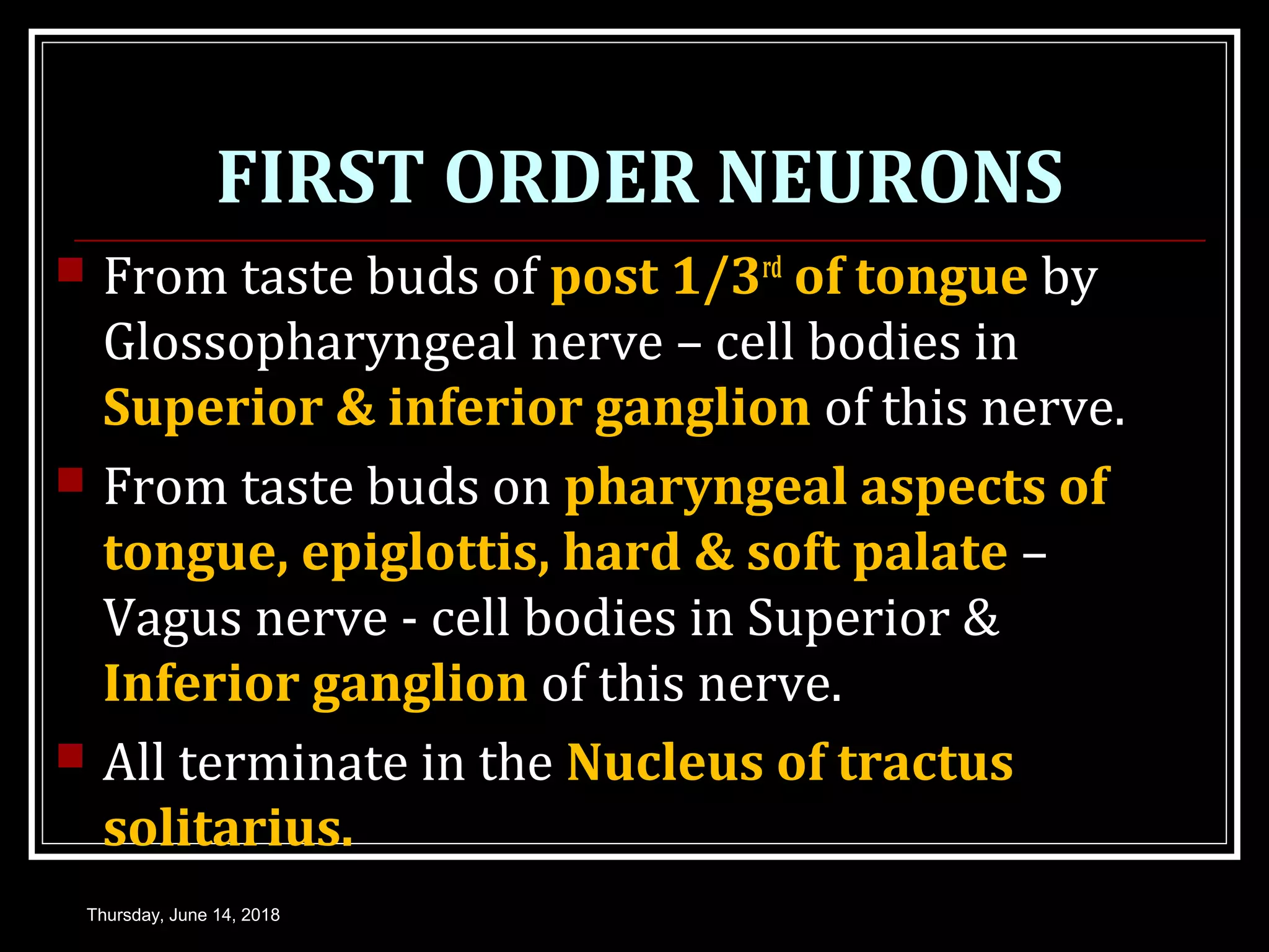 SENSE OF TASTE | PPT