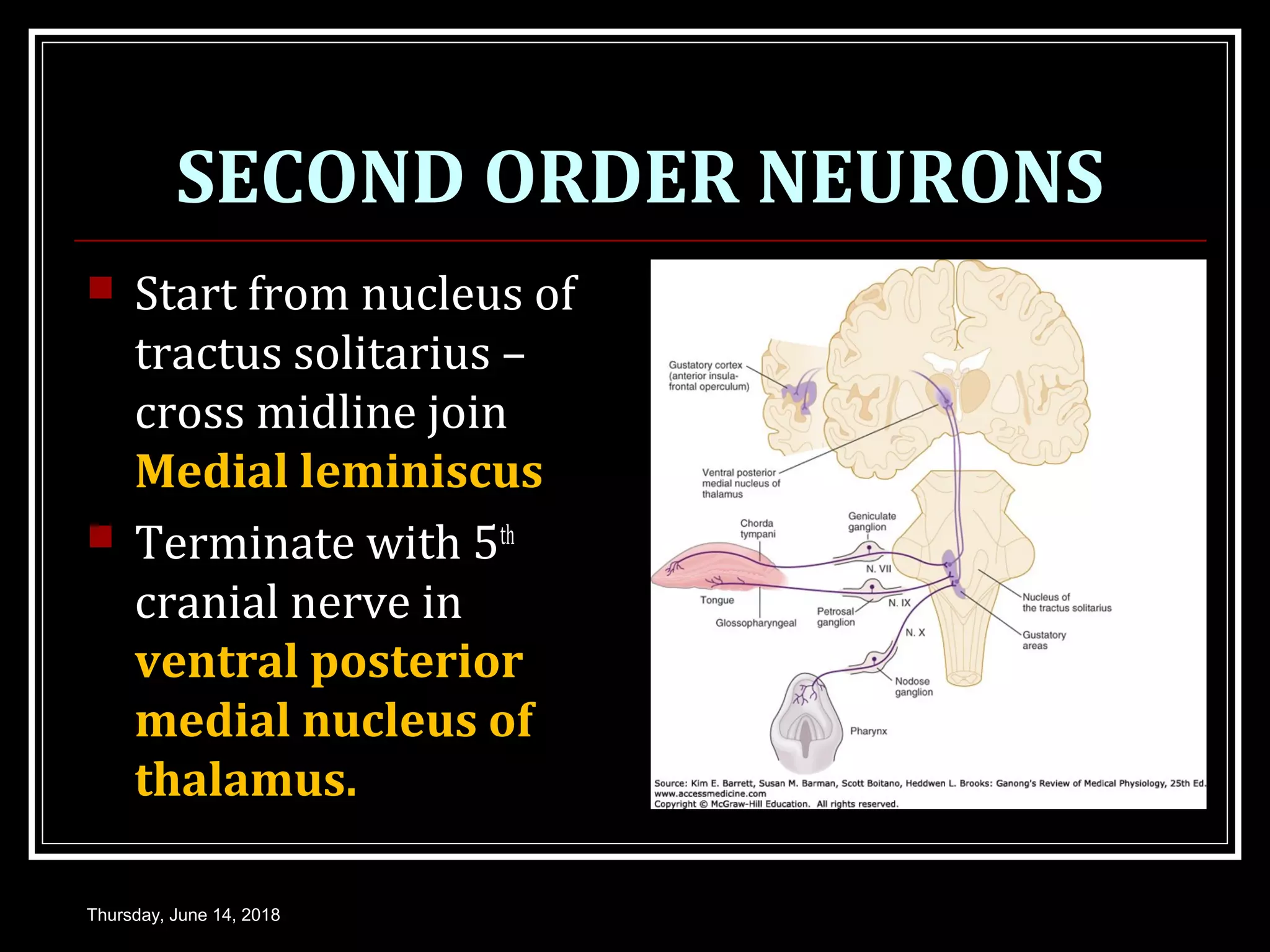 SENSE OF TASTE | PPT