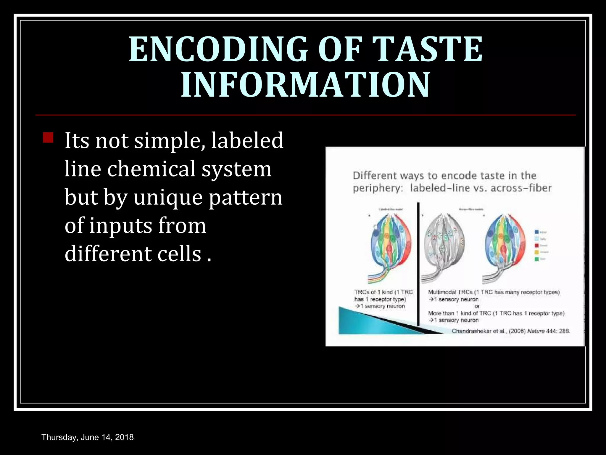 SENSE OF TASTE | PPT