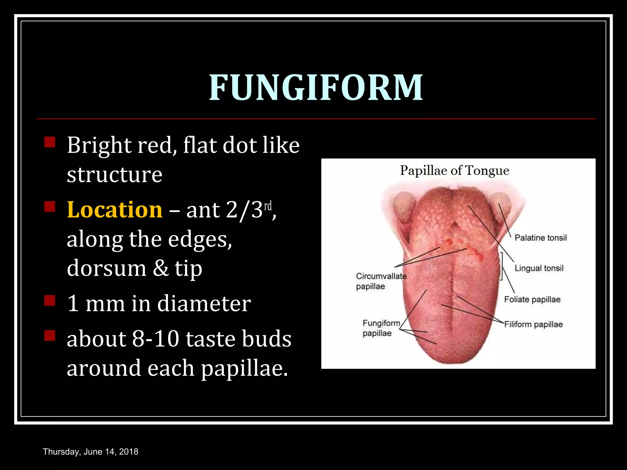 SENSE OF TASTE | PPT
