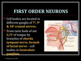 SENSE OF TASTE | PPT