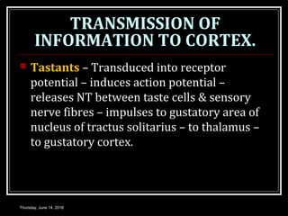SENSE OF TASTE | PPT