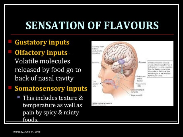 SENSE OF TASTE | PPT | Brain and Nervous System Disorders | Diseases ...