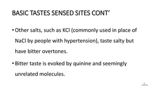 Sense of taste | PDF