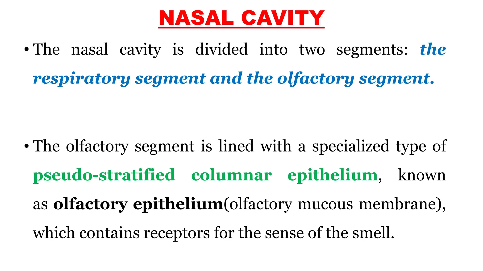 sense organ- physiology of smell and taste.pptx