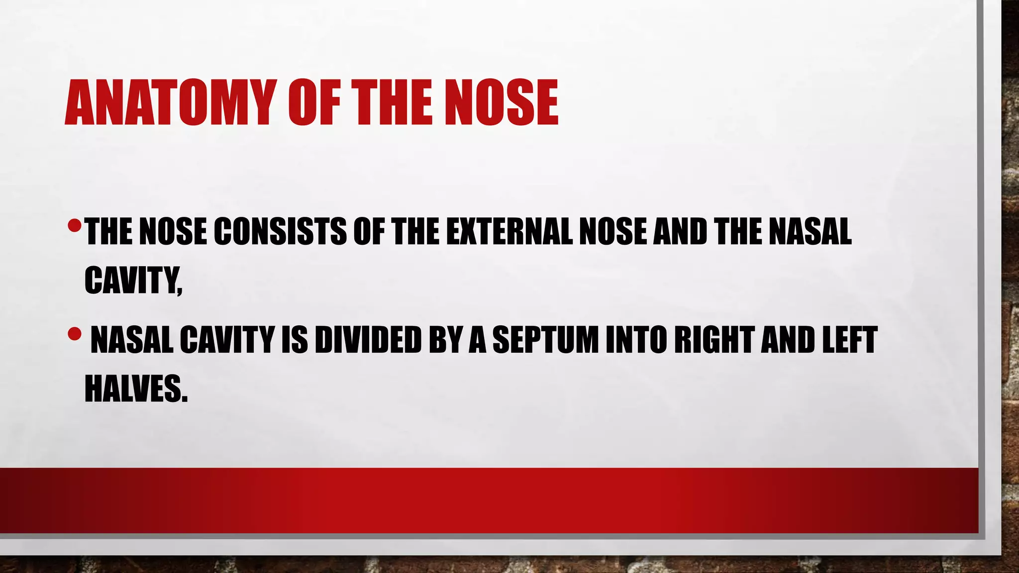 Sense organs: Nose (The Sense of Smell) | PPTX