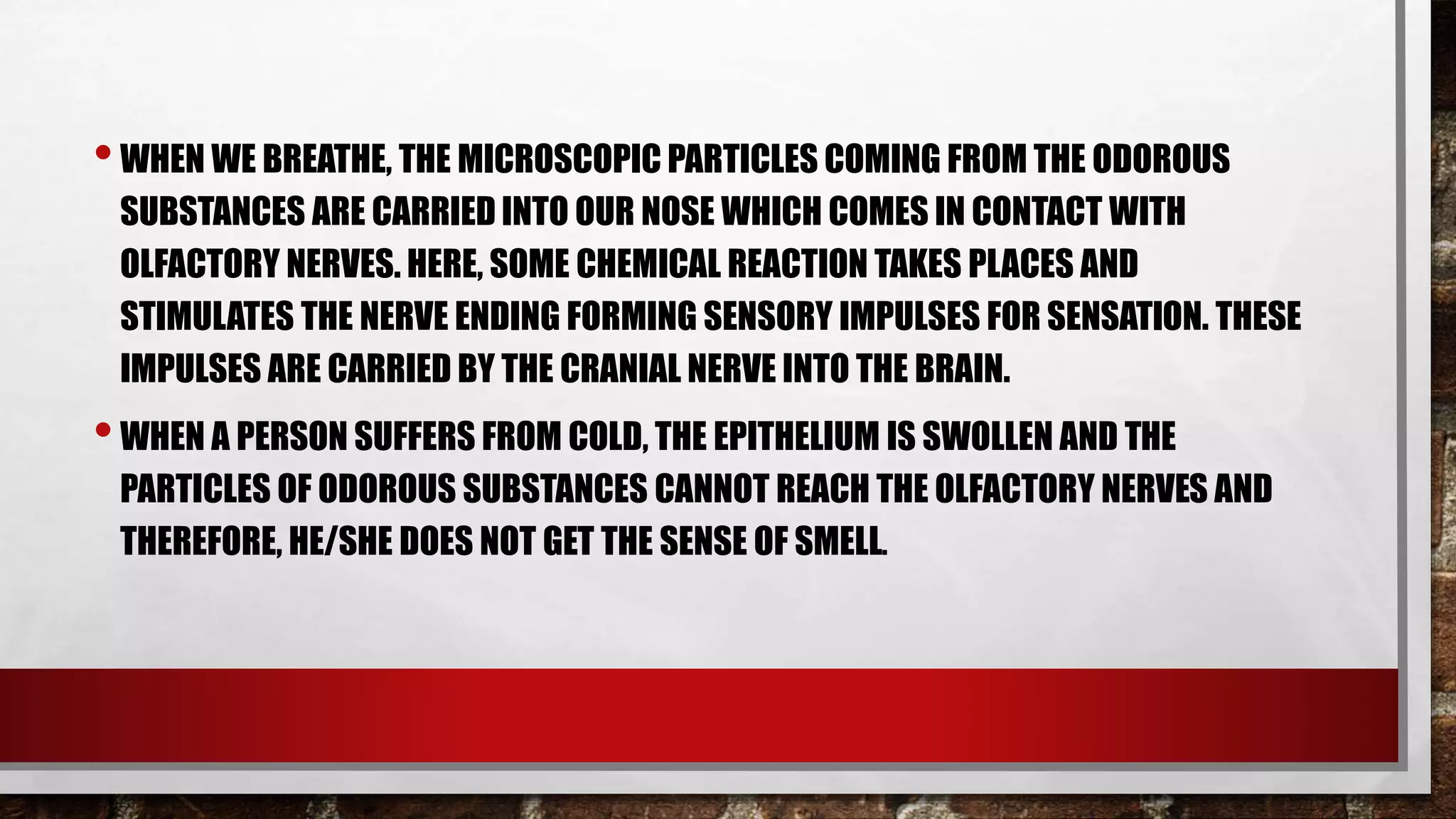 Sense organs: Nose (The Sense of Smell) | PPTX