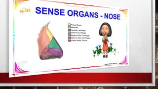 Sense organs: Nose (The Sense of Smell) | PPTX