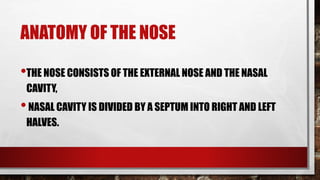 Sense organs: Nose (The Sense of Smell) | PPTX