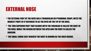 Sense organs: Nose (The Sense of Smell) | PPTX
