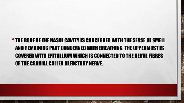 Sense organs: Nose (The Sense of Smell) | PPTX | Ear, Nose and Throat ...