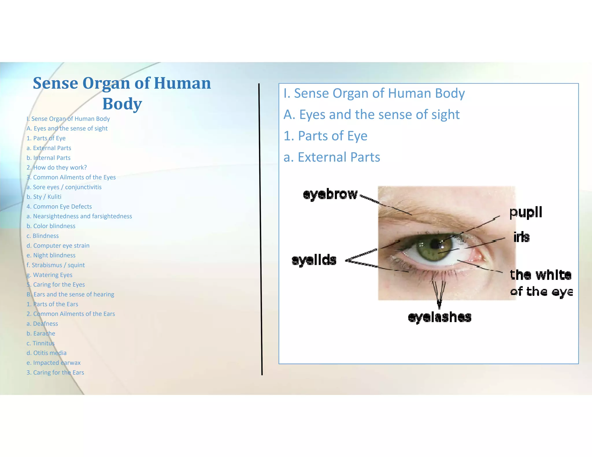 Sense organ of human body (eyes and ears) | PPT