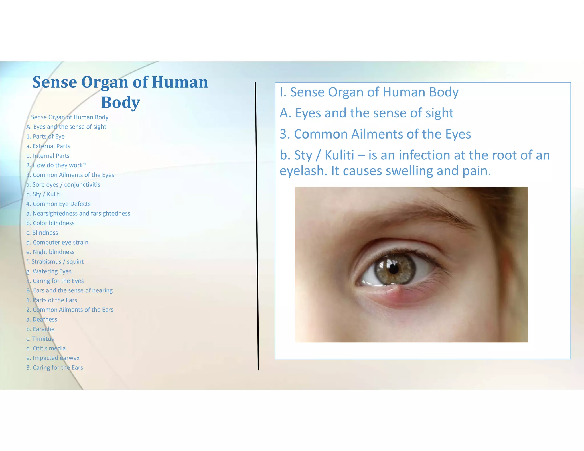 Sense organ of human body (eyes and ears) | PPT