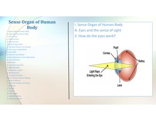 Sense organ of human body (eyes and ears) | PDF