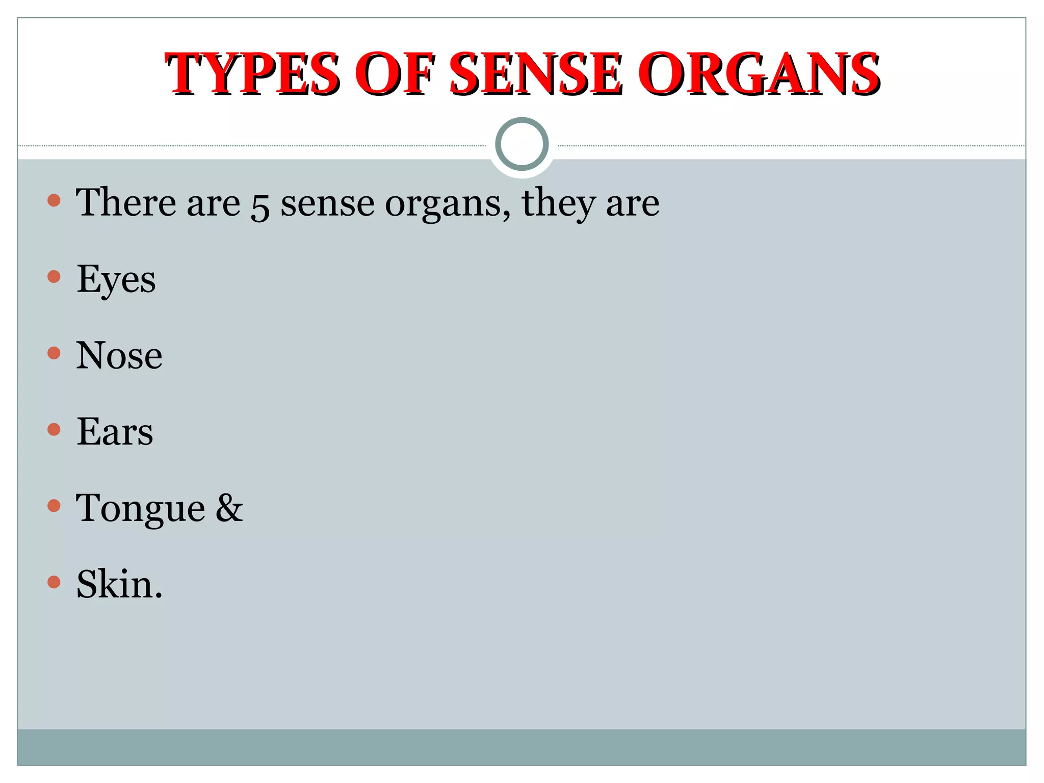 Sense organs | PPT