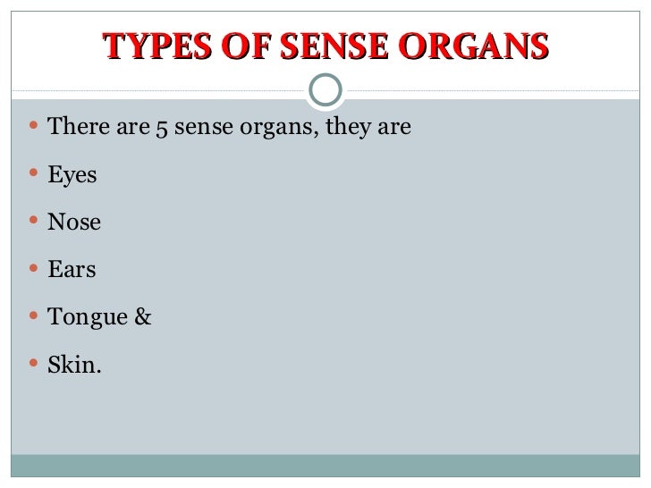 Sense organs