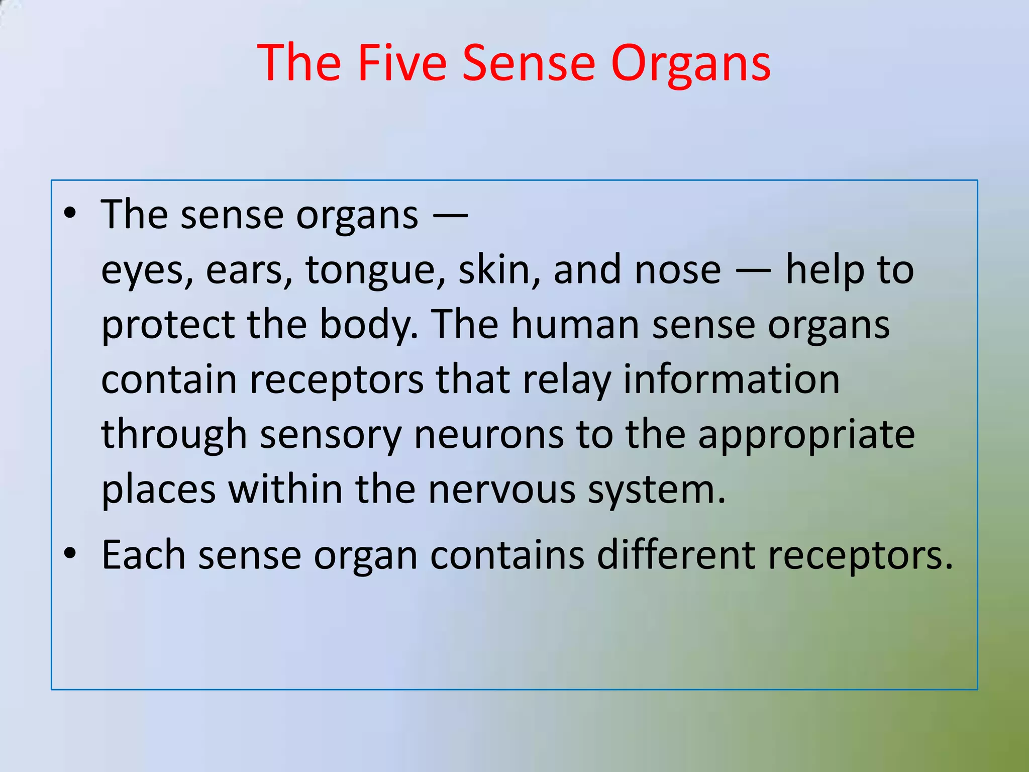 Sense organs | PPTX