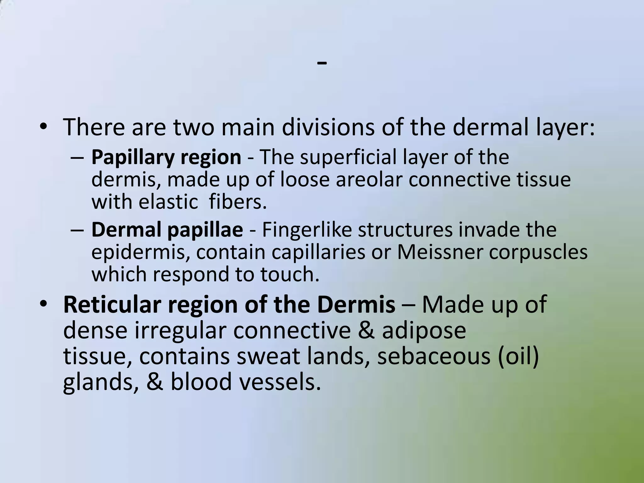 Sense organs | PPTX