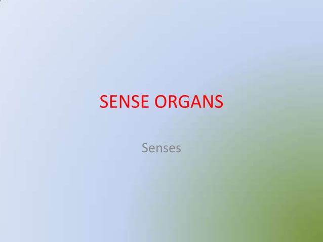 Sense organs | PPTX | Ear, Nose and Throat Conditions | Diseases and ...