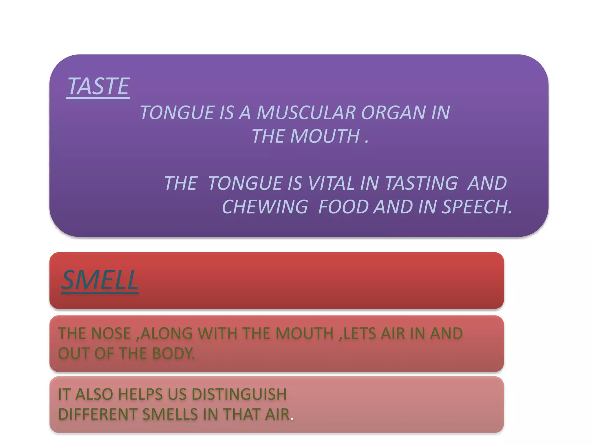 Sense organs | PPT