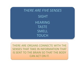 Sense organs | PPT