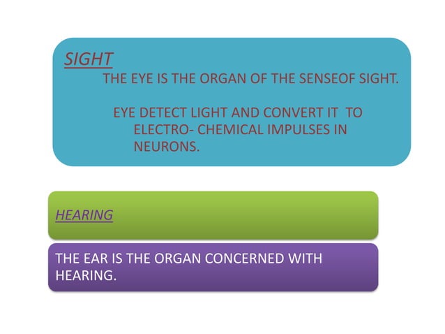 Sense organs | PPT