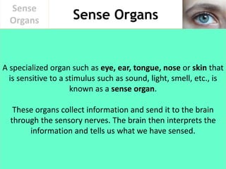 Sense Organs | PPTX