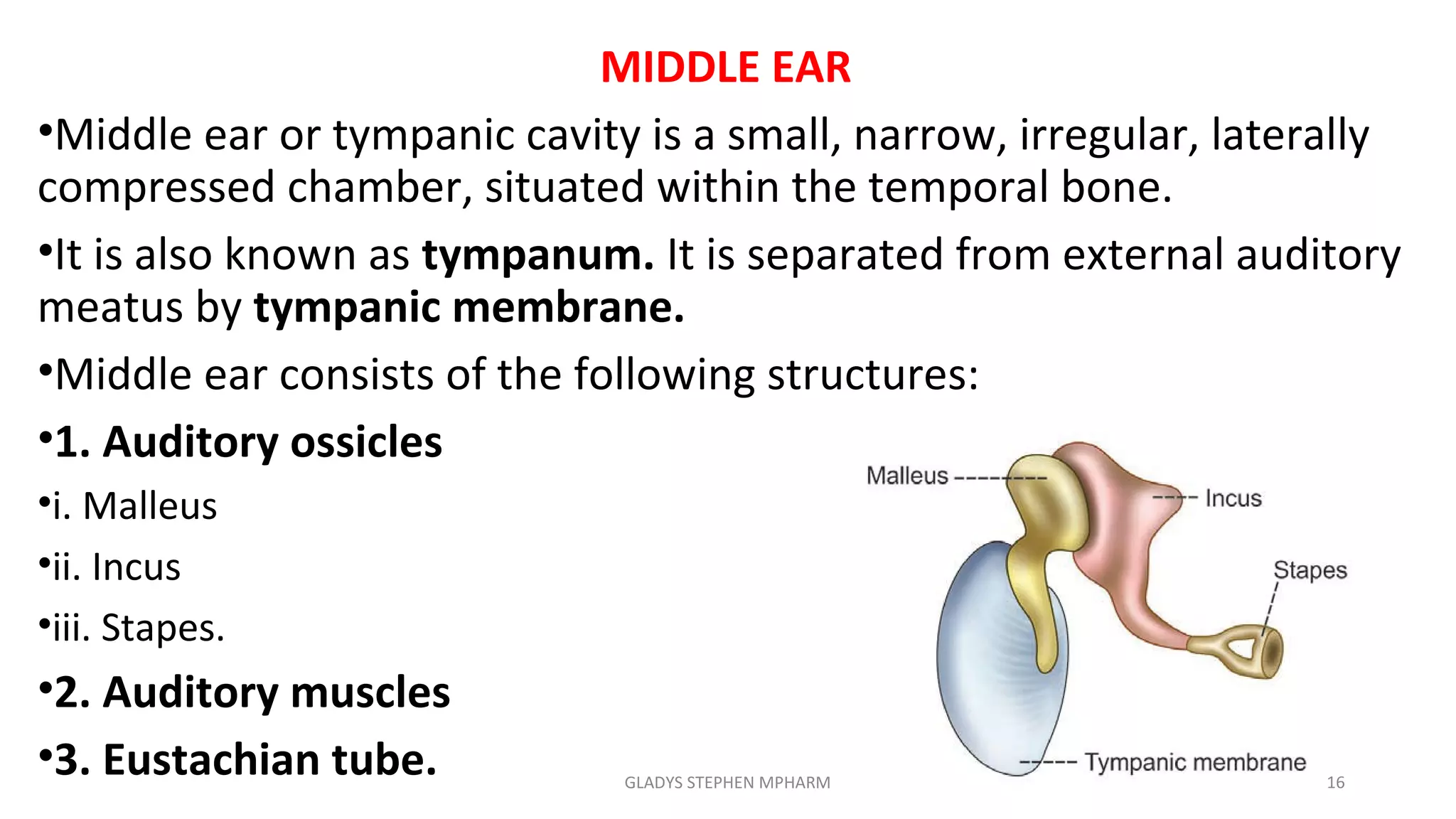 SENSE ORGANS | PPT